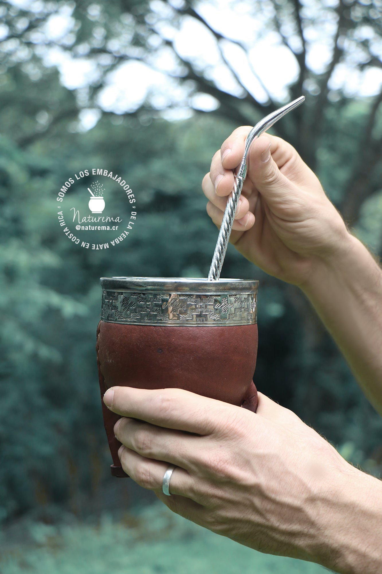 COMO HACER UN BUEN MATE HOW TO MAKE A GOOD MATE – Naturemacr